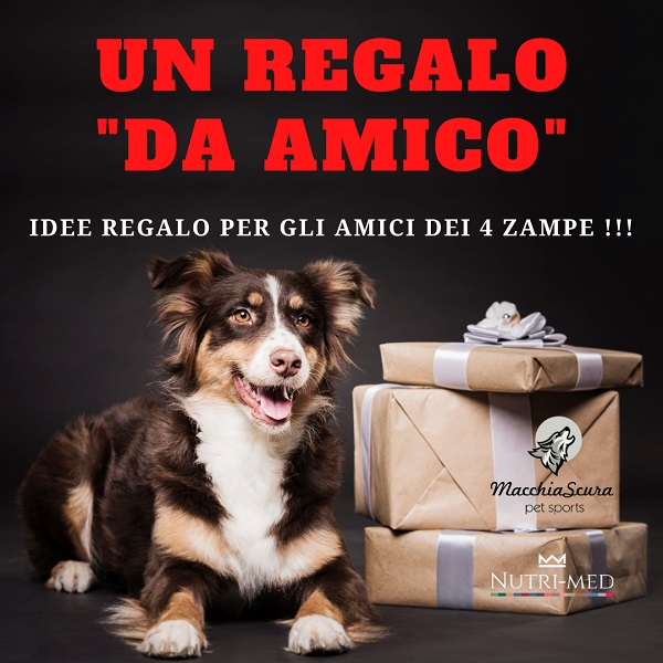 Foligno Pubblicità - Annunci promozionali & Eventi | TOP 10 Offerte